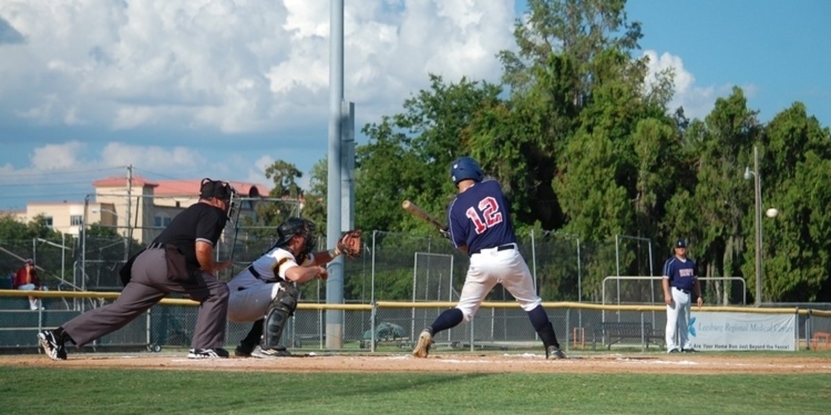 Diamond Dawgs Jump on Top Early, Drop Lightning - Leesburg Lightning