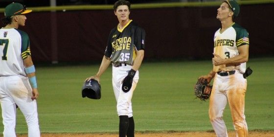 Summer College Wood Bat Baseball | FCSL - Leesburg Lightning